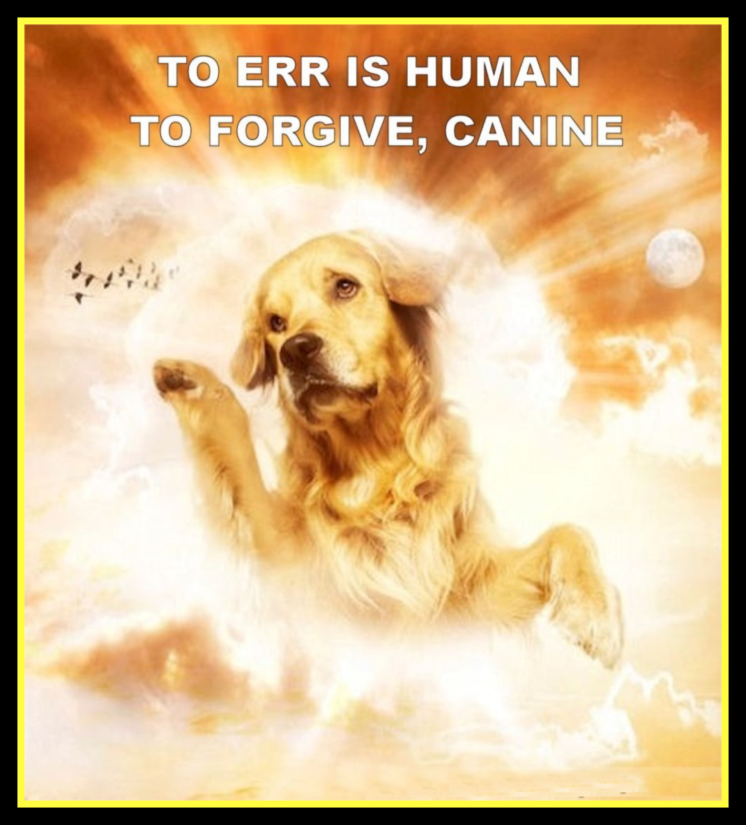 "To err is human" - A Quote/Counterquote post - This Day in Quotes
